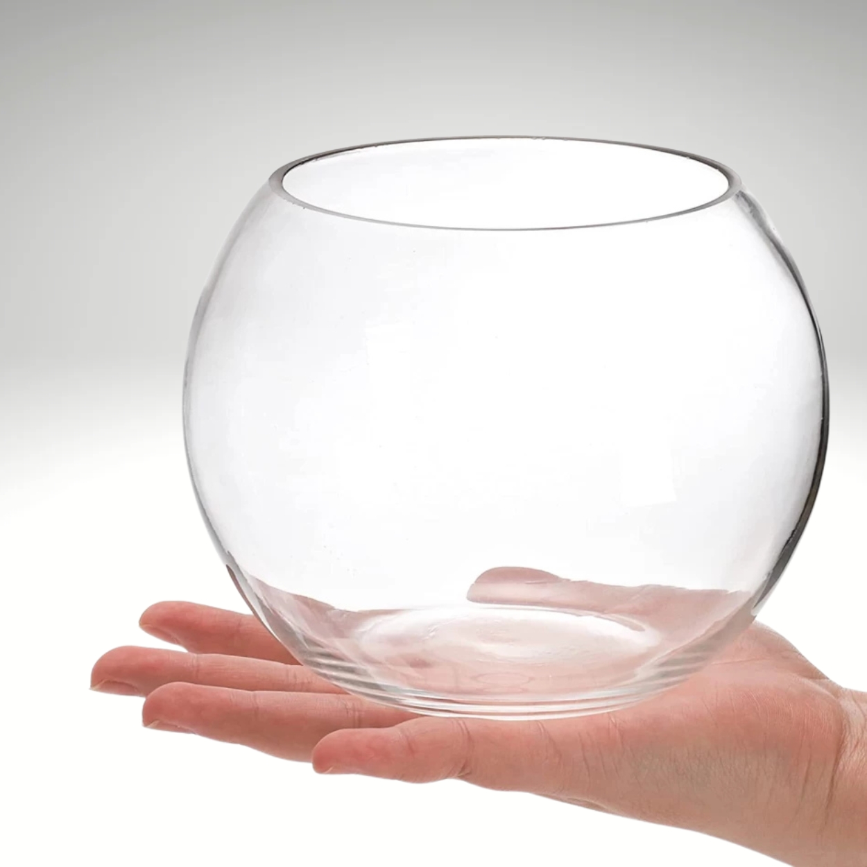 3L Fish Bowl – Perfect for Aquascaping & Terrariums | Aqua Design